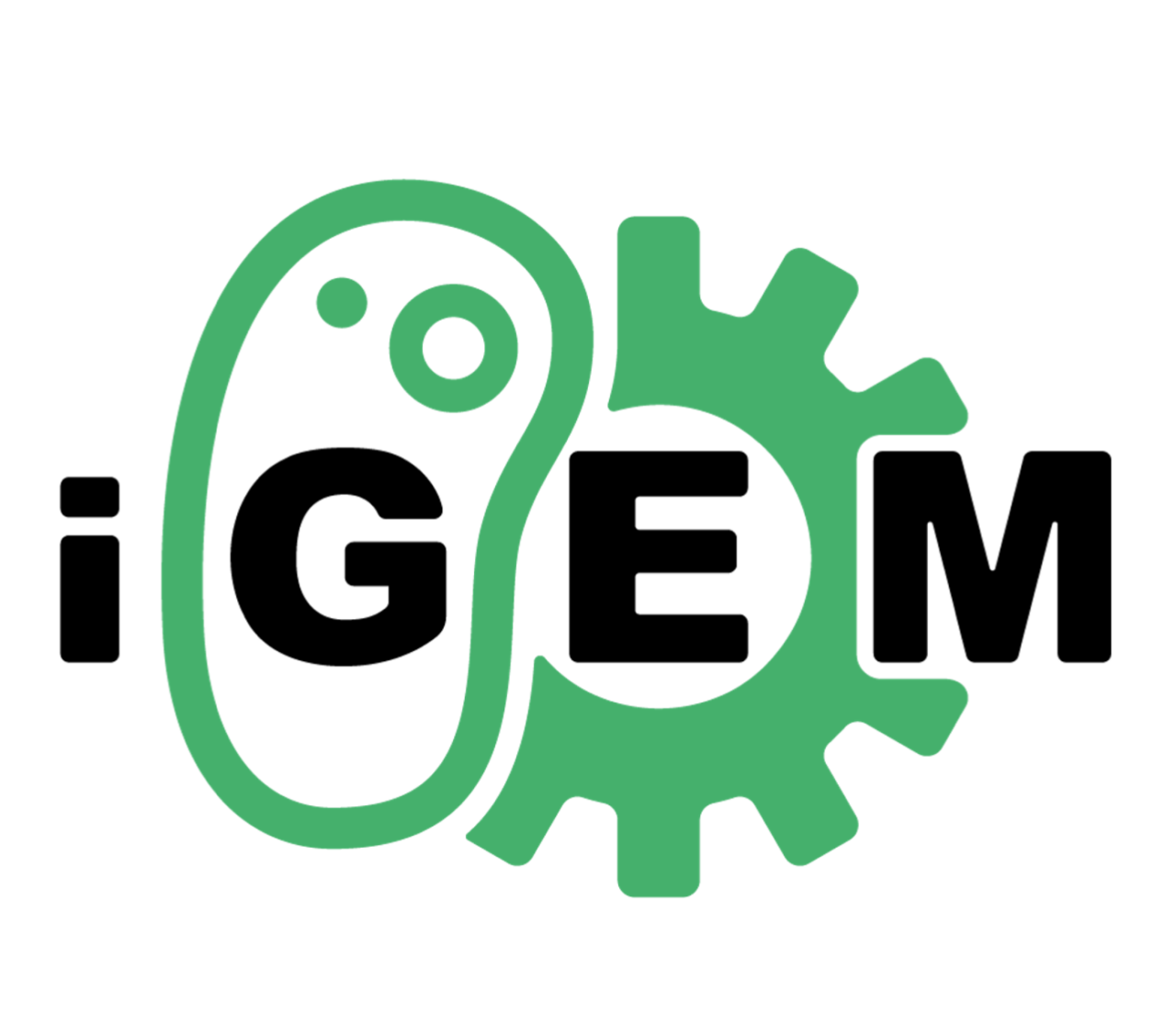 iGEM projects 2024 | Bioconvs